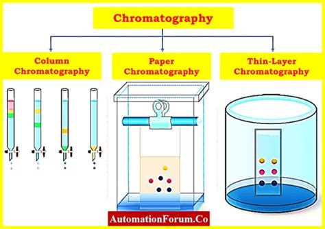 Paper Chromatography Diagram