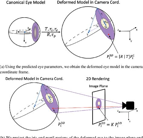 Figure 3 From Model Aware 3d Eye Gaze From Weak And Few Shot Supervisions Semantic Scholar