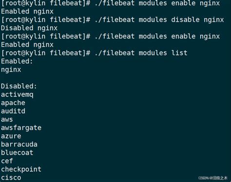 Docker部署elk 882（3） Beats Filebeat使用filebeat882 Csdn博客