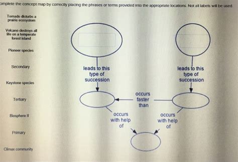 Solved Complete The Concept Map By Correctly Placing The