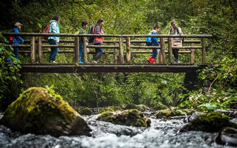 Protected Areas And National Parks