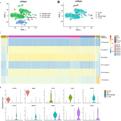 Clustering Of Immune Cell Populations And Gsva Enrichment Scores A