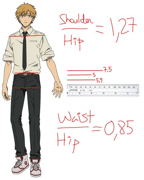 Chainsaw Man Characters Official Proportions R Chainsawfolk