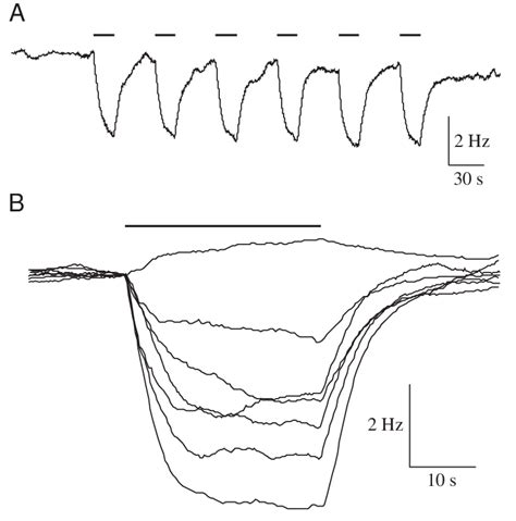 Frequency Deceleration Responses Of The Pacemaker To Download