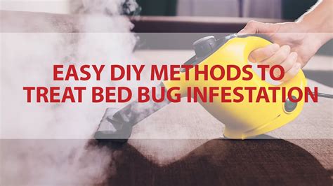 Easy Diy Methods To Treat Bed Bug Infestation