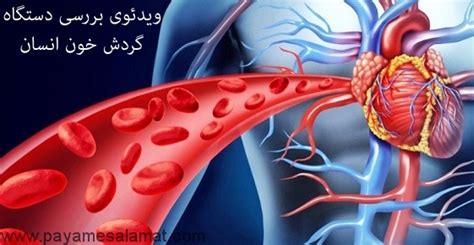 ویدئوی بررسی دستگاه گردش خون در بدن انسان