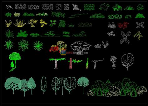 32 Tree In Top View AutoCAD Blocks Free Download