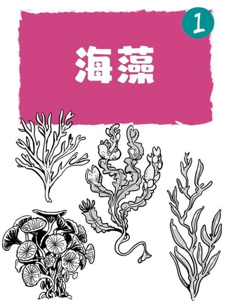 海藻简笔画简单图文怎么画笔画（共10张）简笔画图片大全