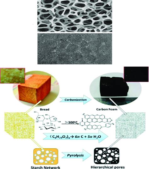 Different Foaming Materials And Micro Structure Download Scientific Diagram