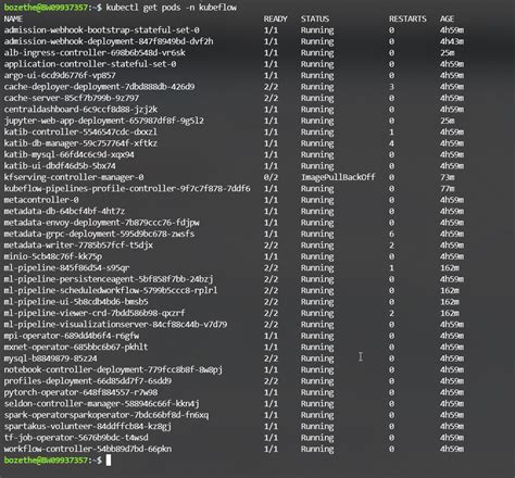 Bug Waiting For For Ingress Istio Ingressistio System Failed · Issue 1337 · Awslabsaws