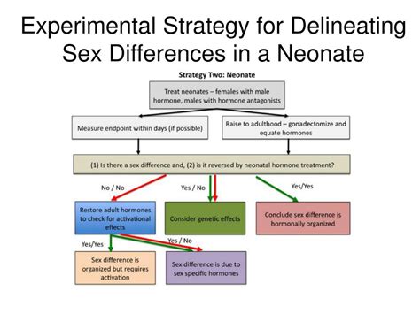 Ppt Sex Differentiation And Dimorphism Powerpoint Presentation Free