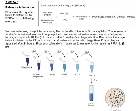 A Pfuml Reference Information Equation For Plaque