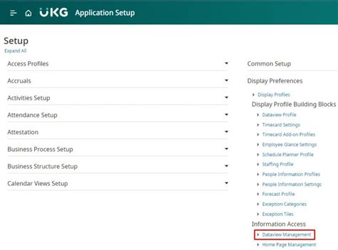 How To Create Employee Dataview In Ukg Pro Wfmdimensions