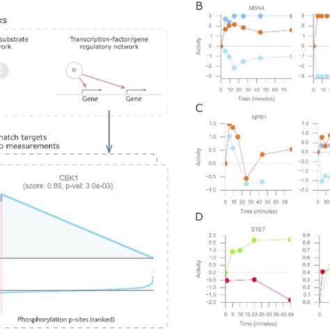 Protein Activity Analysis A Representation Of The Workflow Used To Download Scientific