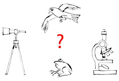 Multiple Perspectives And Sod