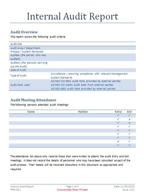 it infrastructure audit report financial statement alayneabrahams