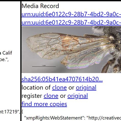 a screenshot of a machine generated interactive web page visualizing