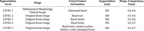Classification Levels Of Different Features Download Scientific Diagram