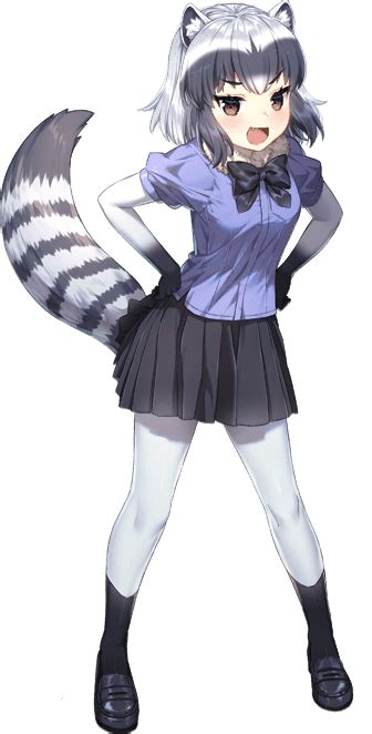 Common Raccoon Kemono Friends And More Danbooru