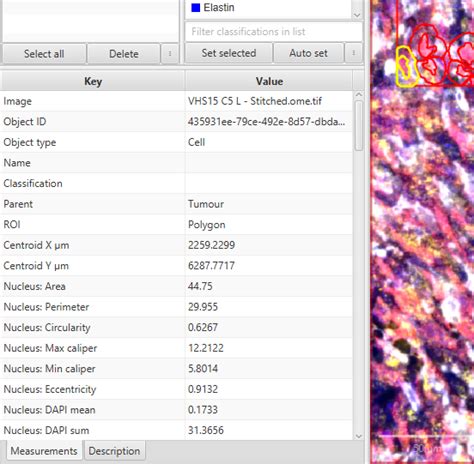Problem With Script To Export Detections Measurements Batch Image Analysis Imagesc Forum