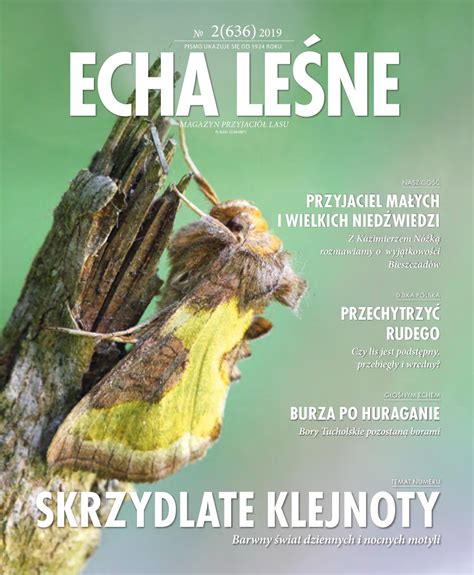 Rosyjska Mamuska Sprowadza Mlodego Goscia Telegraph