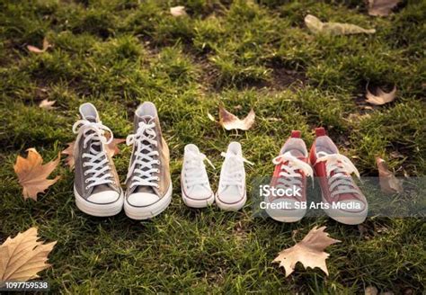 아버지 어머니에서 신발 운동 화 가족의 개념적 이미지와 아름 다운 잔디에 아기 크기 관계에 대 한가 석양 빛 젊은 부모와 야외 라이프 스타일을 기대 하 고 행복 한 가족 0