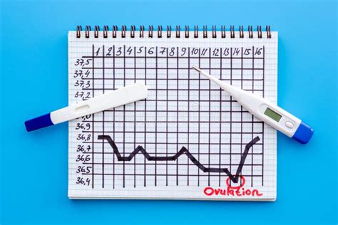 Thermometer Ovulation Test Basal Temperature Chart Predicting Fertility