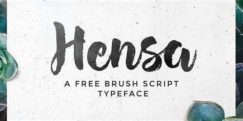 Hensa Brush Script Typeface Bypeople