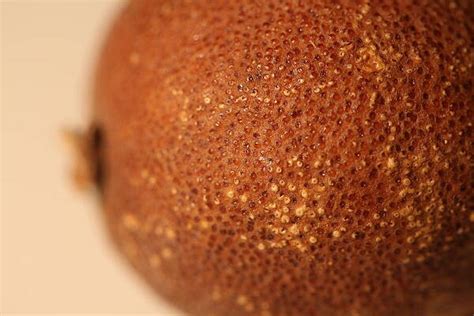 Desiccation Art For Sale Fine Art America