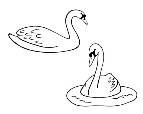 Swan Drawing Outline