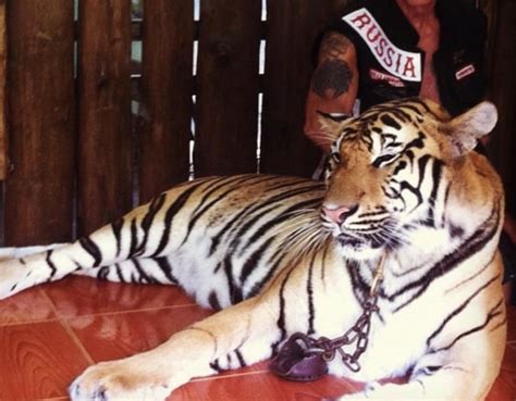 Hells Angels Mc R Motorcycleclublife