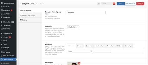 Chat Support For Telegram Bubble And Button With Gutenberg Elementor