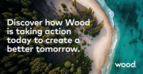 Shashank Saxena On Linkedin Sustainability Netzero