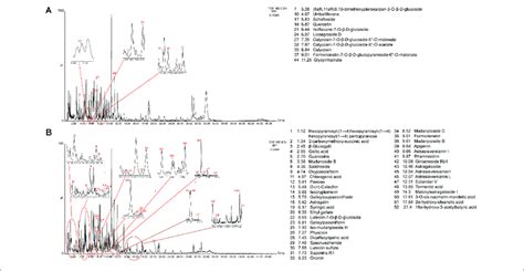 Total Ion Flow Chart Of Zi Dian Fang A Esi B Esi