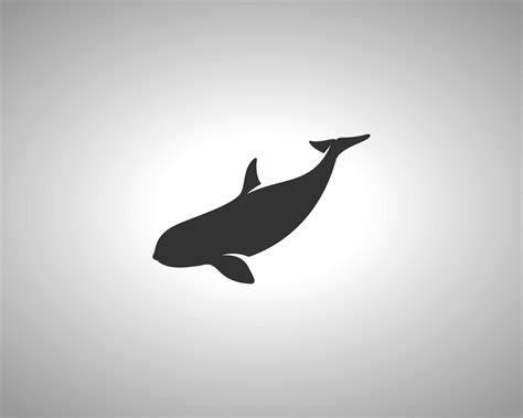 Orca Vector Silhouette 21623246 Vector Art At Vecteezy