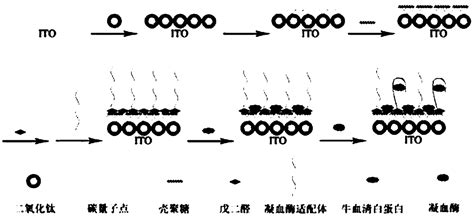 A Kind Of Photoelectrochemical Sensor And Its Preparation And