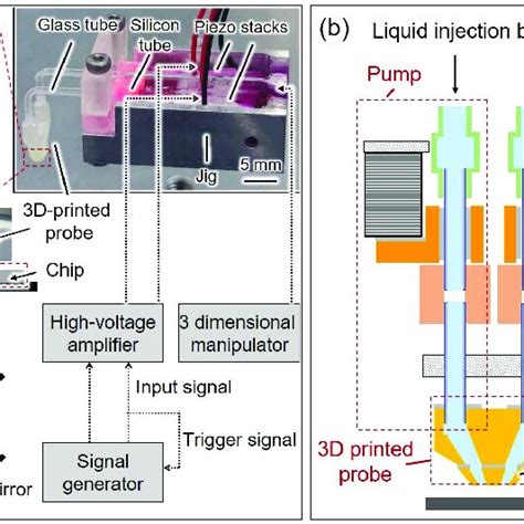A Experimental Setup And The Image Of The Probe With The Dual Pump