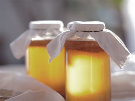 Class101 천연 발효음료 콤부차 집에서 평생 키워 먹기