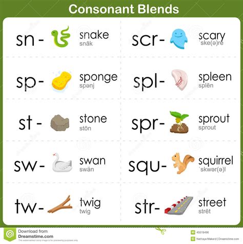 Consonant Blends Scr Spl Spr Str 3rd Grade Quiz Quizizz