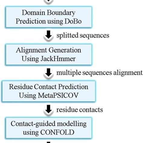 Flow Chart Showing The Steps Involved In Predicting 3d Models For The