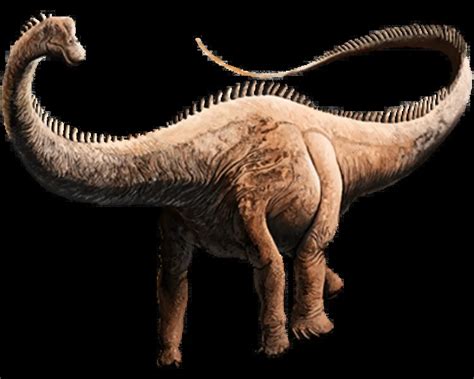All About Diplodocus