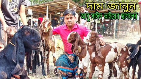 দাম জানুন আবু সাঈদ ভাইয়ের ছাগলের। হাটে এবং খামারে এক দামে ছাগল কিনুন Goatfarming Bangladesh