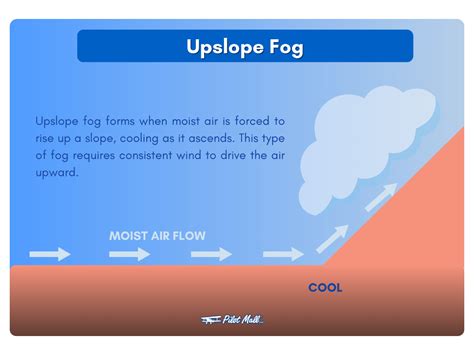 7 Types Of Fog In Aviation Pilots Guide To Low Visibility