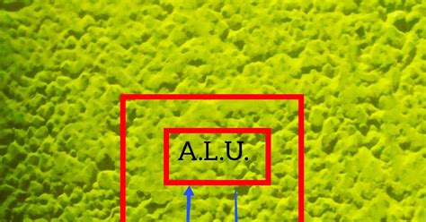 What Are The Basic Components Of A Computer System