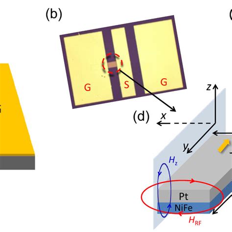 A The Schematic Of A Typical Cpw Illustrating The Download