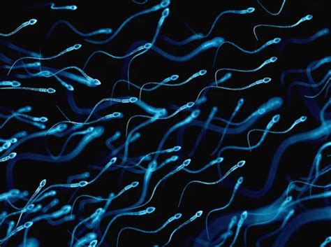 Space Colony Sperm Survives Microgravity But No Space Babies Soon Space Colony Sperm Survives Microgravity But No Space Babies Soon