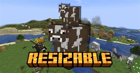 Resizable V1 0 0 1 20 5 Snapshot Datapack Minecraft Data Pack