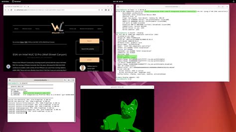 Updated Findings For Passthrough Of Intel Nuc Integrated Graphics Igpu With Esxi