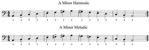 Accordion Bass Scales George Whitfield