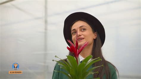 მე ვარ ფერმერი ყვავილების სალონი Youtube